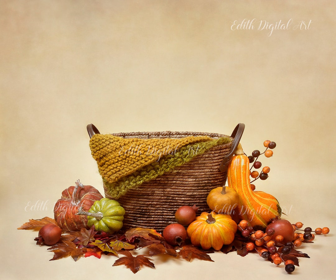 Autumn Newborn Backdrop Digital Fall Background Pumpkin - Etsy