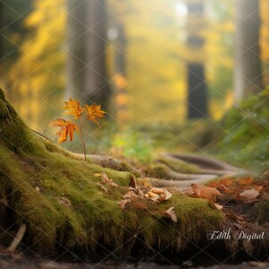Fall Digital Backdrop Photography, Autumn Background Green Moss Forest ...