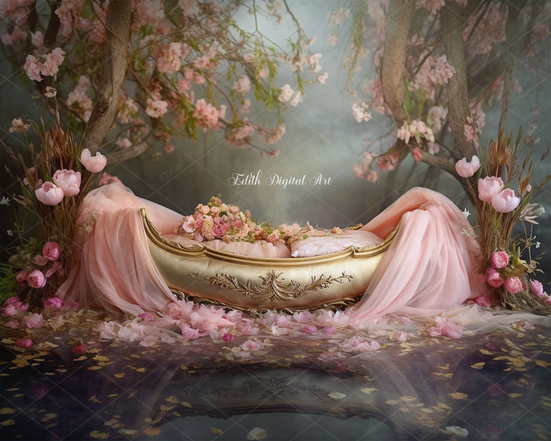 Enchanted Boat Digital Backdrop Background Photography for Maternity ...