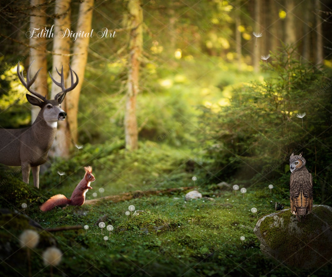 Spring Digital Background, Deer, Owl Bunnies on Field Digital Backdrop ...