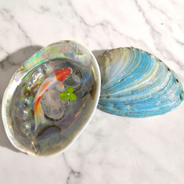 Abalone Shells for Resin Art - Etsy