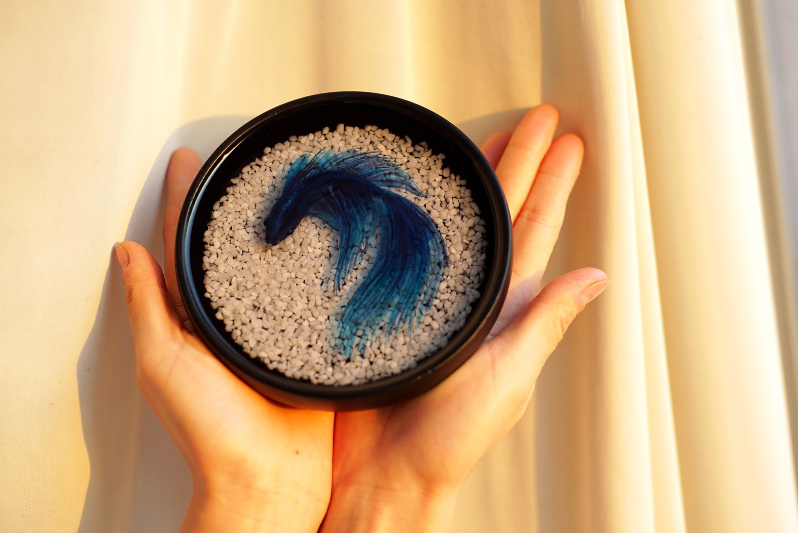 3D Resin Betta Fish Painting – Handmade Aquarium Decor - Etsy