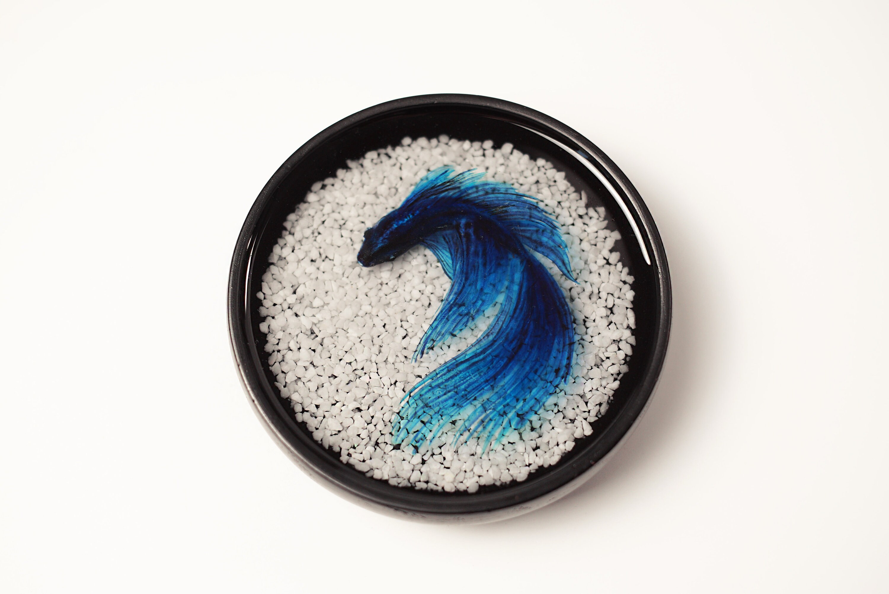 3D Resin Betta Fish Painting – Handmade Aquarium Decor - Etsy