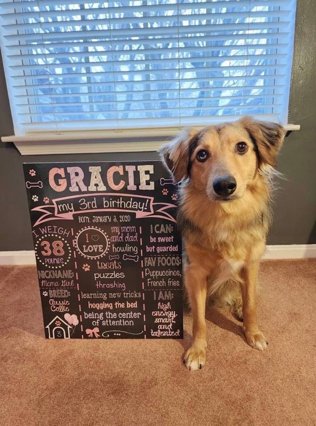 Dog's 10th Birthday Chalkboard Sign - Printable Dog Birthday Sign - Any ...