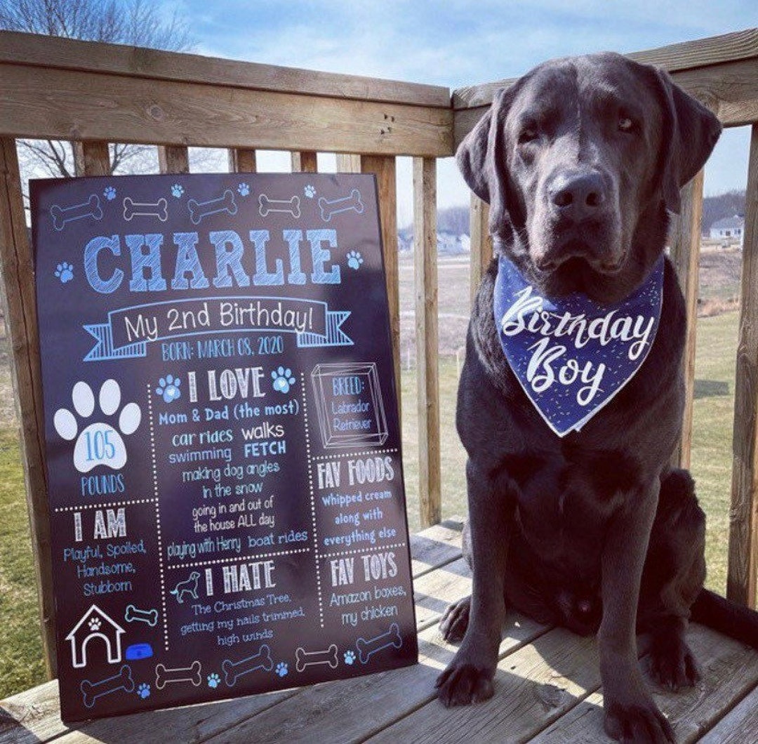 Dog Birthday Chalkboard - Digital - Puppy Party Chalkboard - Puppy ...