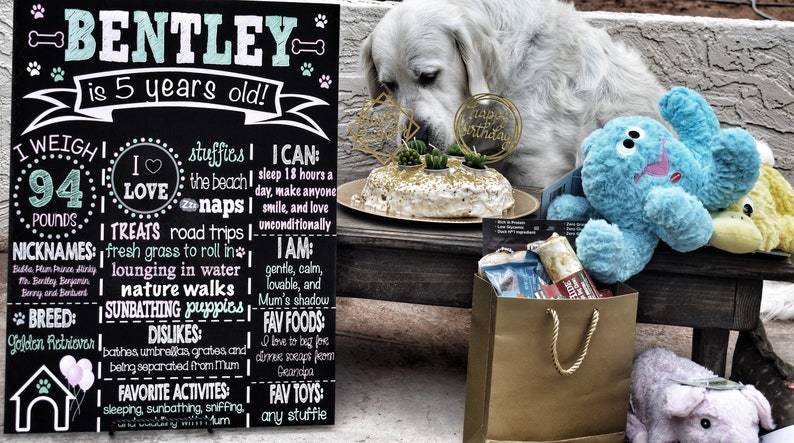 Dog Chalkboard - Digital - Any Age - Puppy Chalkboard - Dog 6 Months ...