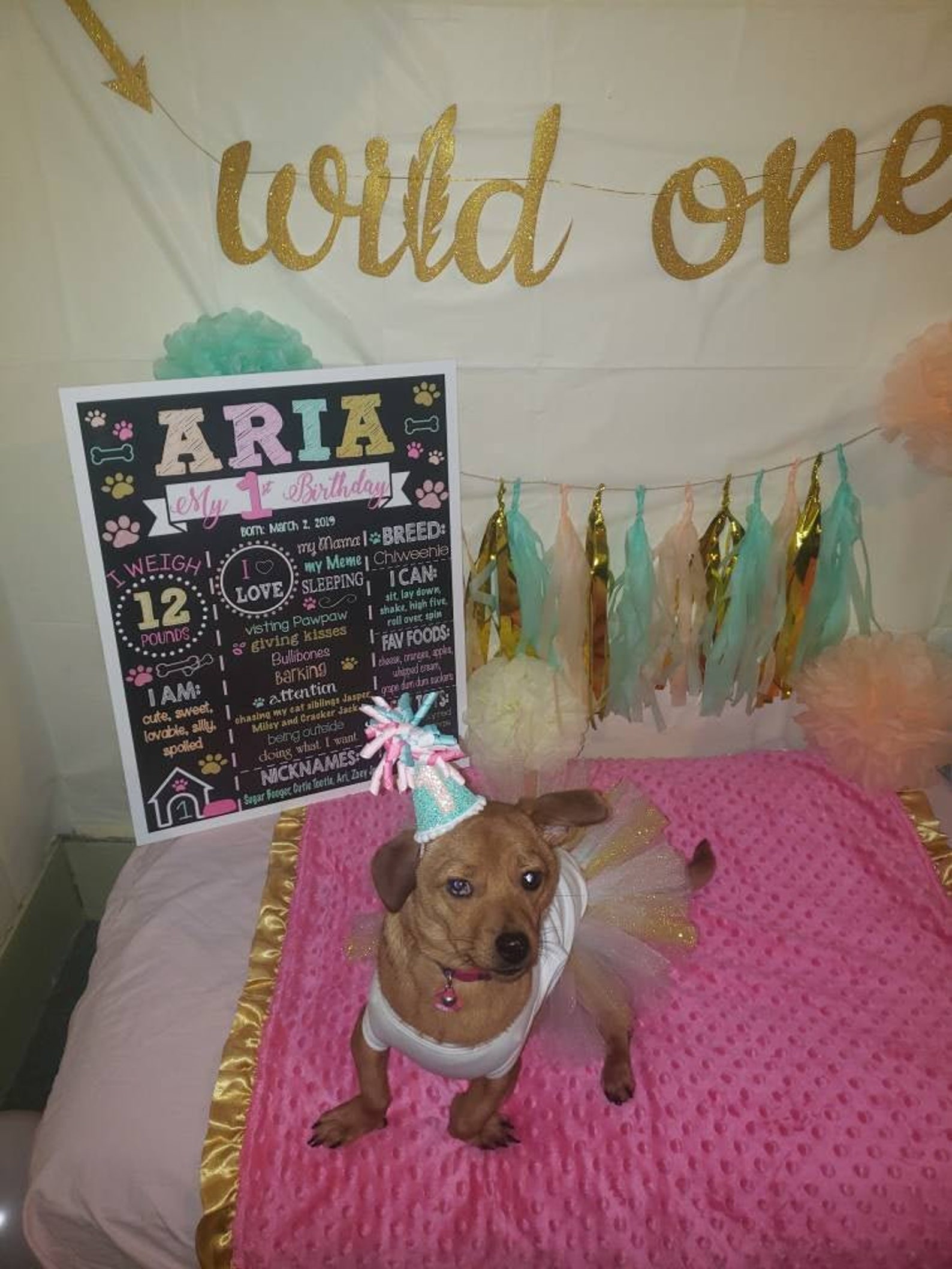 Adorable Dog Birthday Chalkboard Sign Print Yourself Pink - Etsy