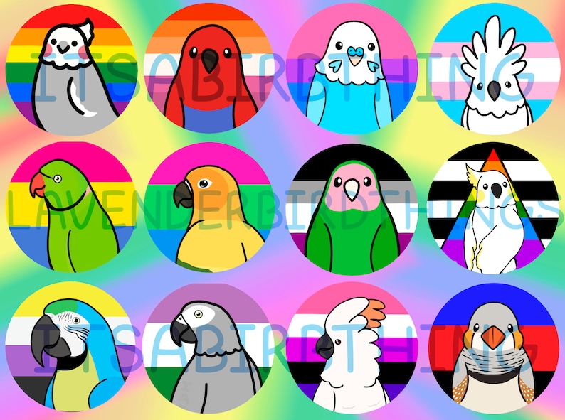 CUSTOM Pride Parrot Pins 1.25in LGBT Bird Pins | Etsy