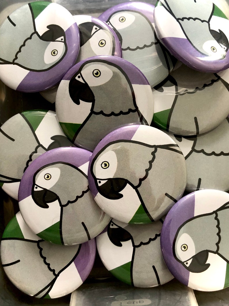 Pride Parrot Pins | Etsy