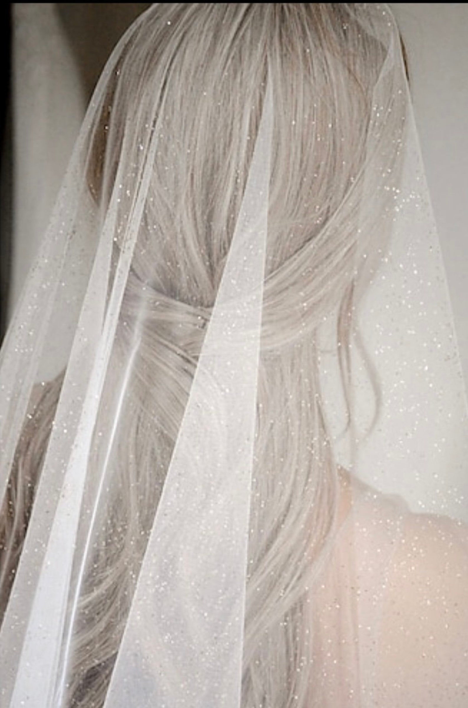 Glitter Veil, Glitter Wedding Veil, Sparkle Wedding Veil, Bling Veil ...