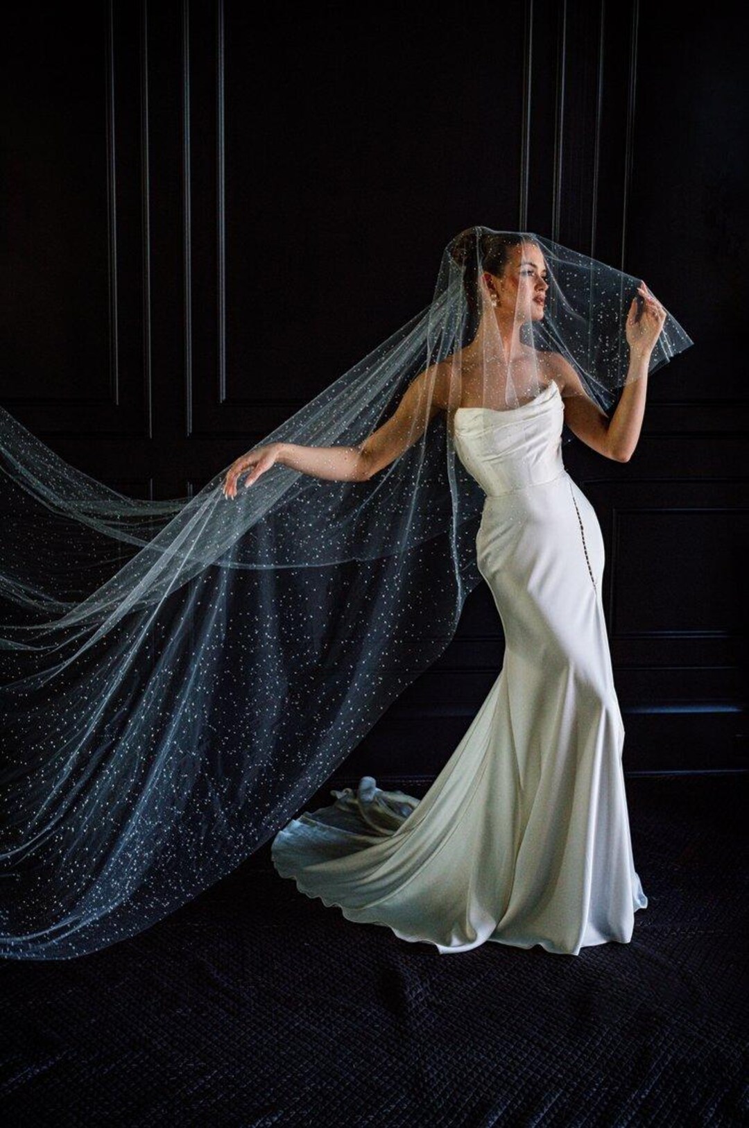 Glitter Veil, Sparkly Wedding Veil, Sparkle Veil, Bling Veil, Shimmer ...