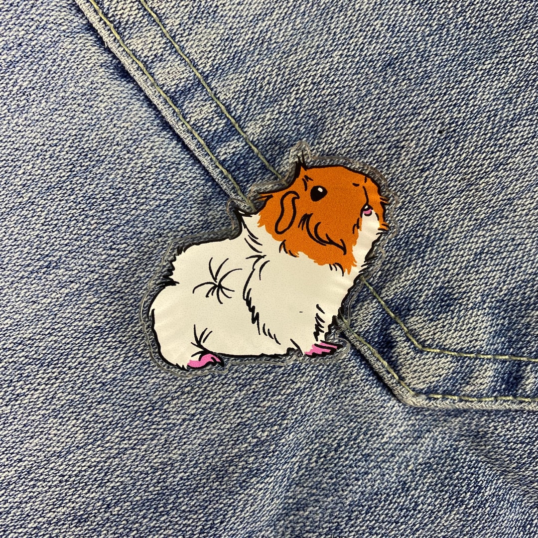 Guinea Pig Acrylic Pin Badge Abyssinian Pigs Lapel Pin Series Pet Badge ...