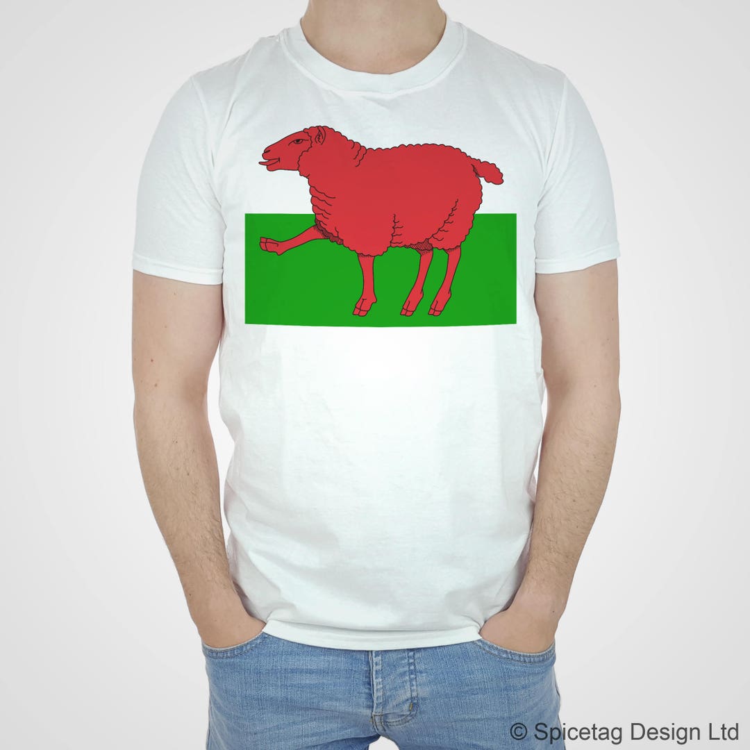 Wales T-shirt Welsh Tshirt Proud Funny Dragon Flag Tee Sheep Top ...