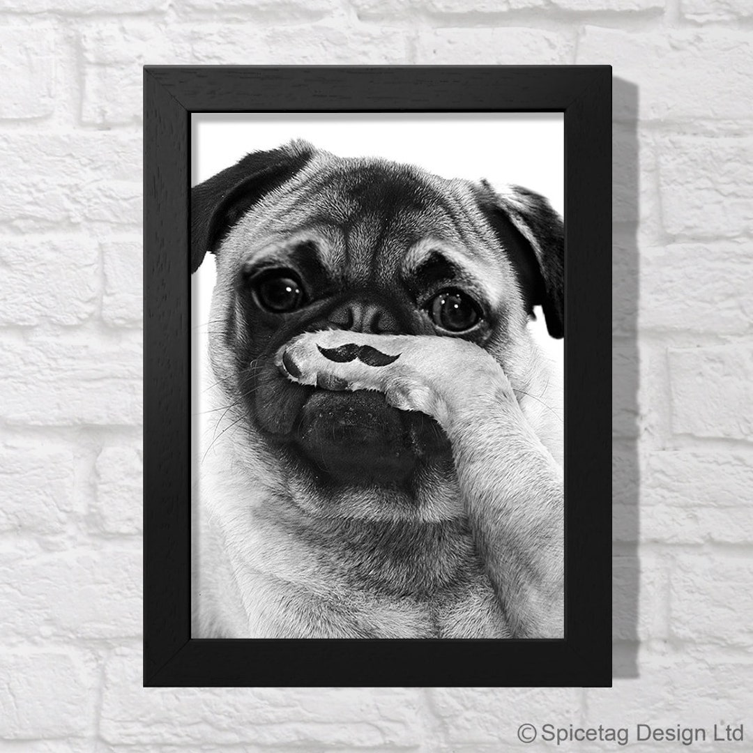 Pug Tache 5 X 7 Inch Print 5 X 7 Picture Cute Pugs Dog Moustache Style ...