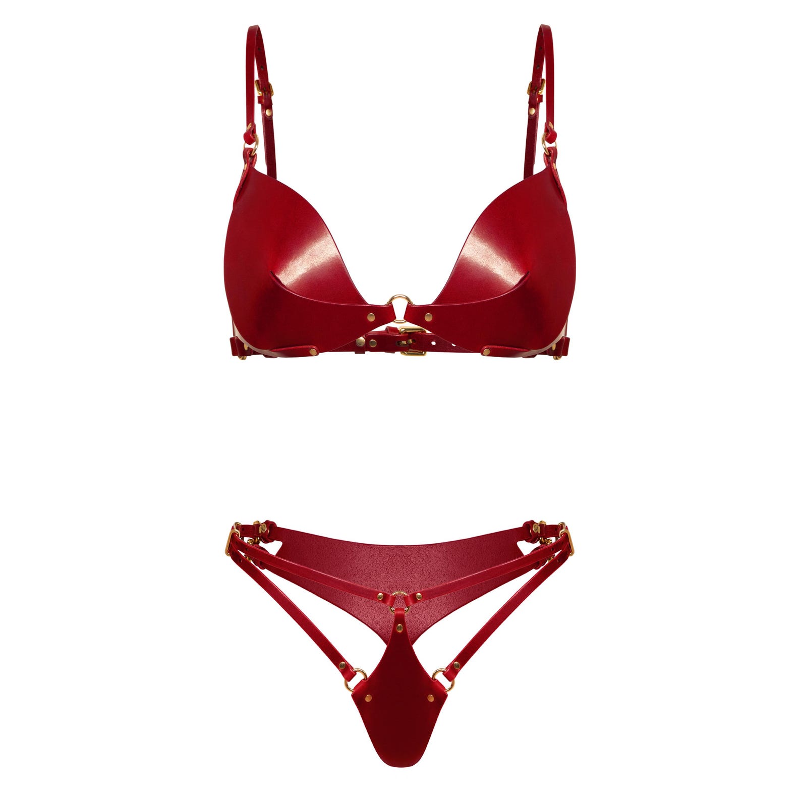 Luxury Red Leather Lingerie Set, Leather Lingerie Bra & Panties, Real ...