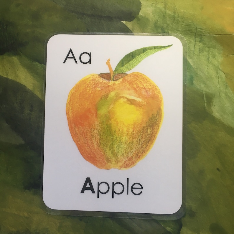 Single Nature-themed Laminated Alphabet Flashcard: Letter A | Etsy