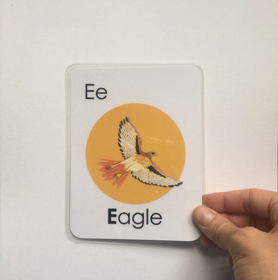 Single Nature-themed Laminated Alphabet Flashcard: Letter E | Etsy