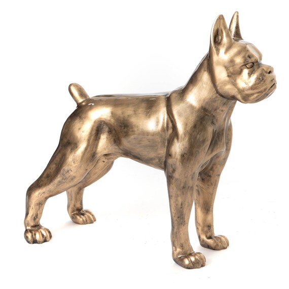 Full Grown Golden Boxer Dog