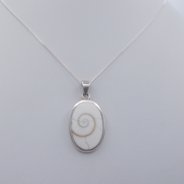 Shiva Shell - Etsy