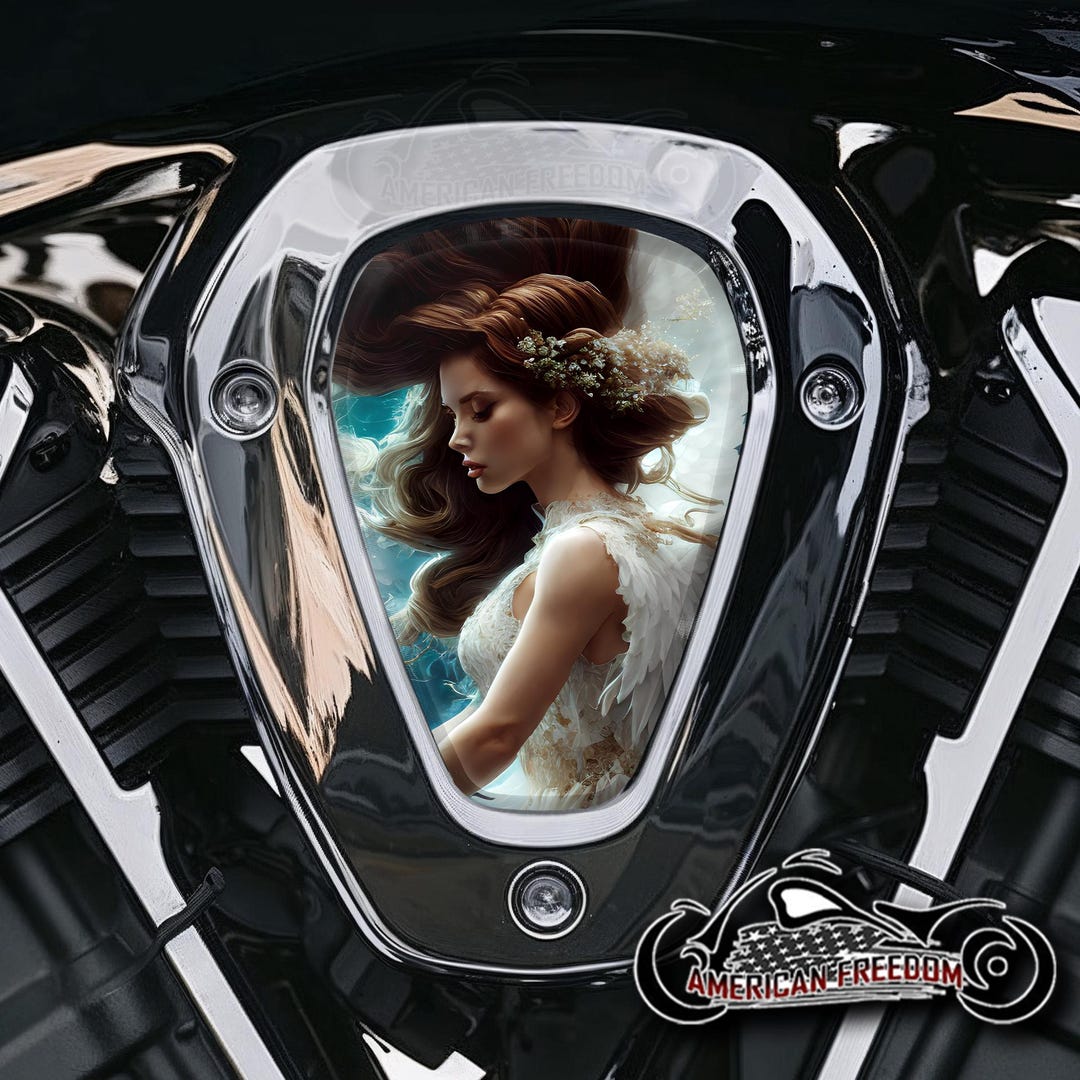 Indian Challenger Pursuit Powerplus Aluminum V Cover Inserts - Floating ...