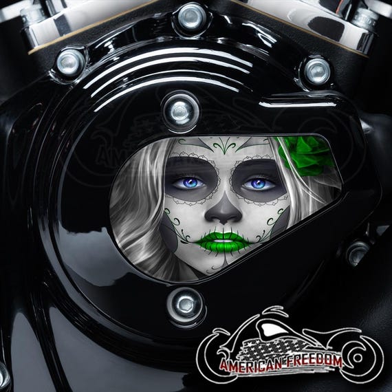Harley engine covers store