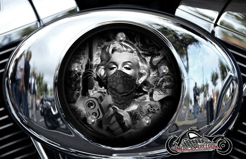 Harley Davidson Custom Made V Twin Cam Air Cleaner Insert & Mounting ...