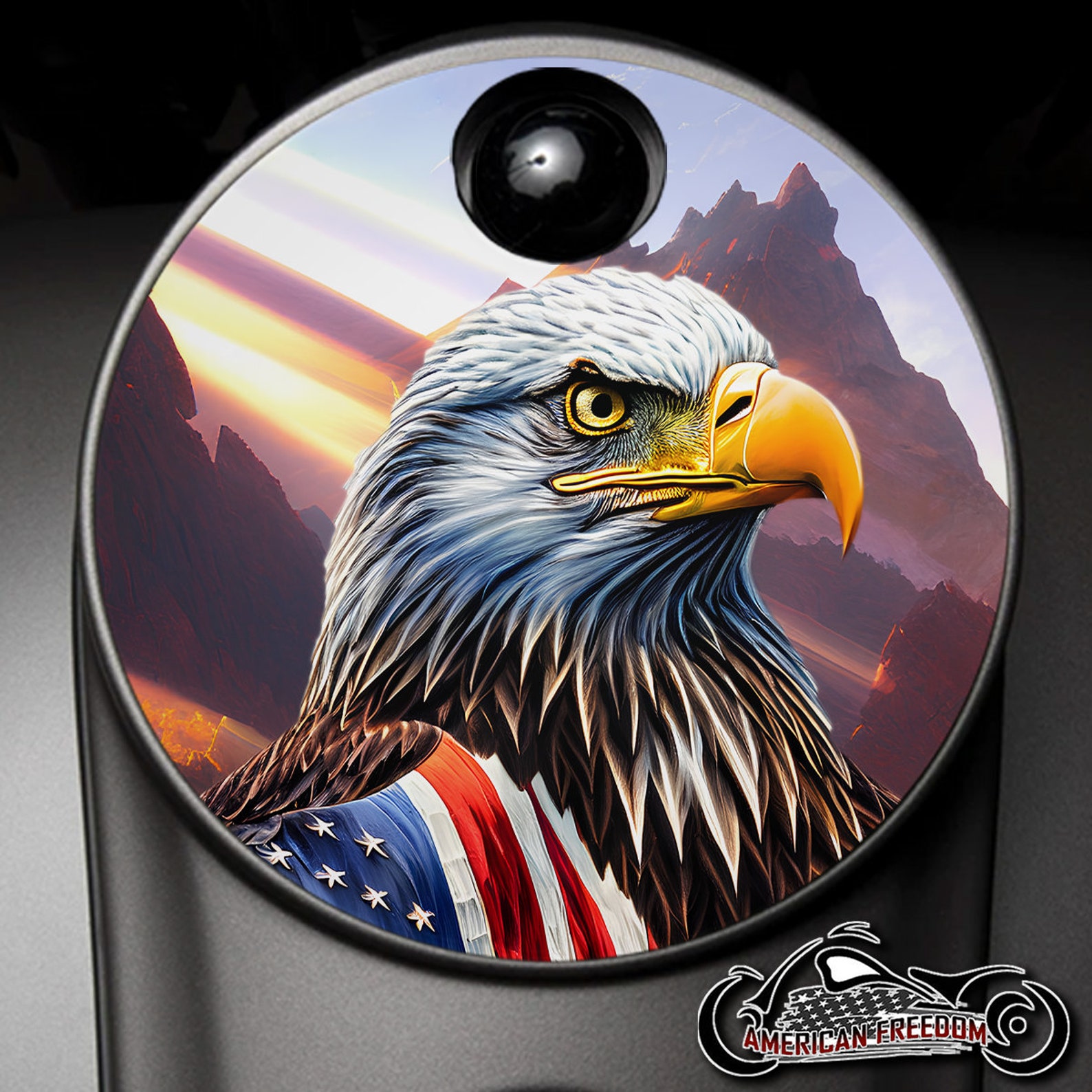 Harley Davidson Custom Made Fuel Console Door 2008+ Ultra, Street Glide ...