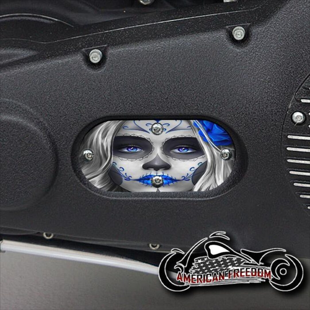 Harley Davidson Custom Made Aluminum Softail & Dyna Oval Primary Chain ...