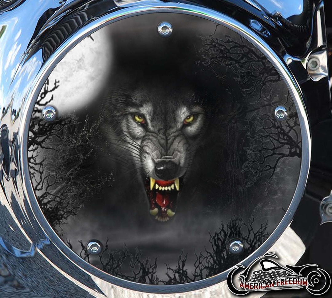 Harley Davidson Custom Made Derby Cover or Timing Cover (your Choice ...