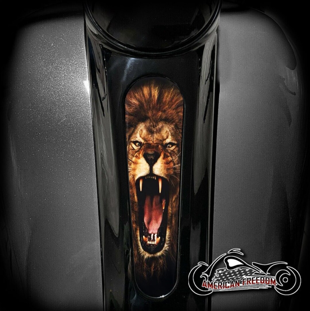 Harley Davidson Custom Made 8 Inch Dash Insert for Street Glide & Road ...