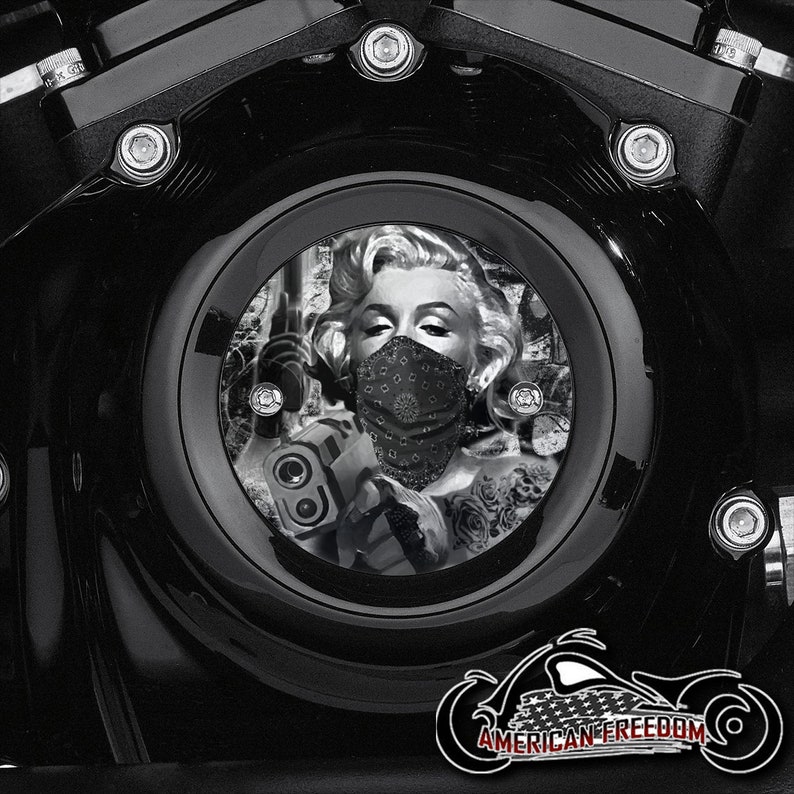 Harley Davidson Custom Made Derby or Timing Cover (your Choice) Twin ...