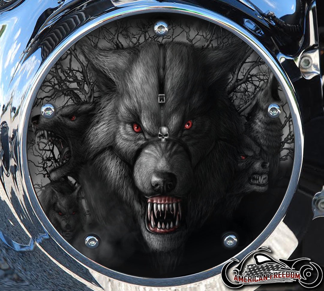 Harley Davidson Custom Made Derby Cover or Timing Cover (your Choice ...