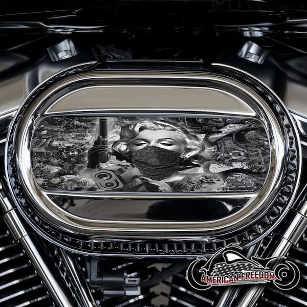 Harley Air Cleaner Insert - Etsy