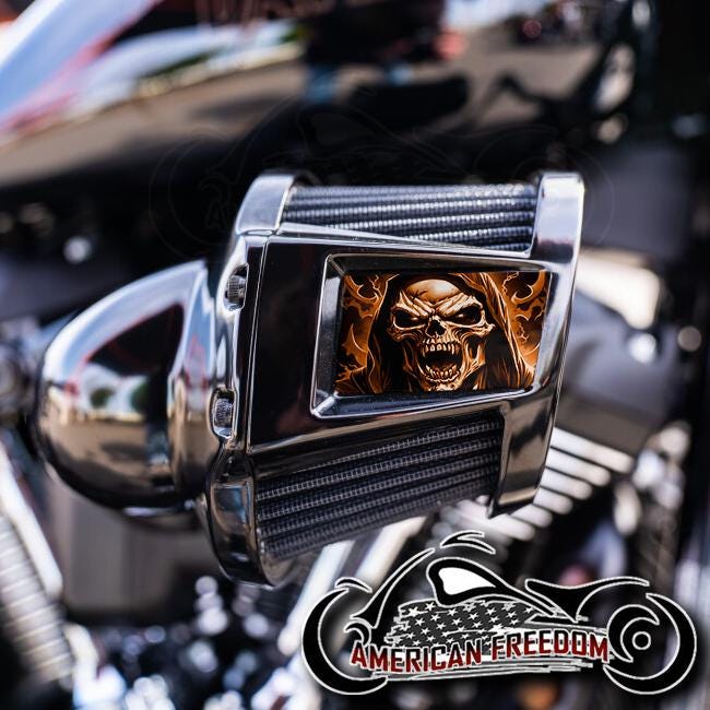 Harley Davidson Custom Aluminum 2019-2024 Heavy Breather Air Cleaner ...