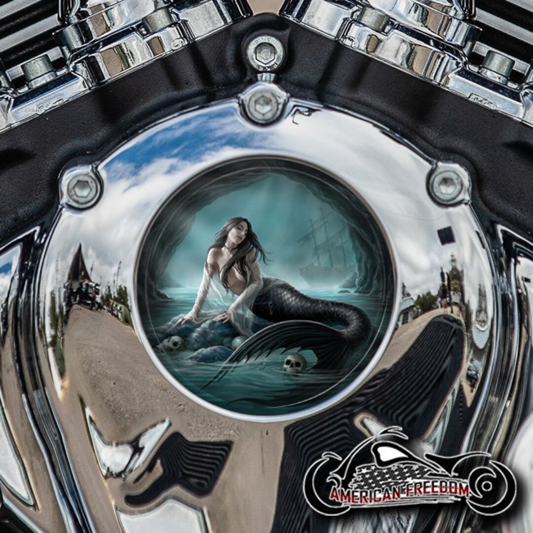 Indian Motorcycles Thunder Stroke Cam Insert - Mermaid Skulls - Etsy
