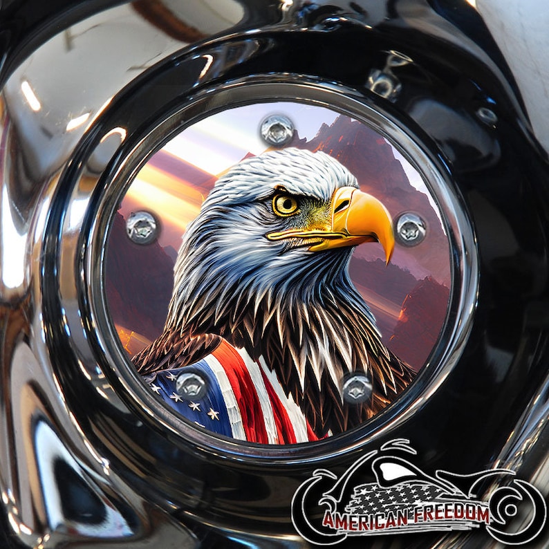 Harley Davidson Custom Made Derby Cover or Timing Cover (your Choice ...