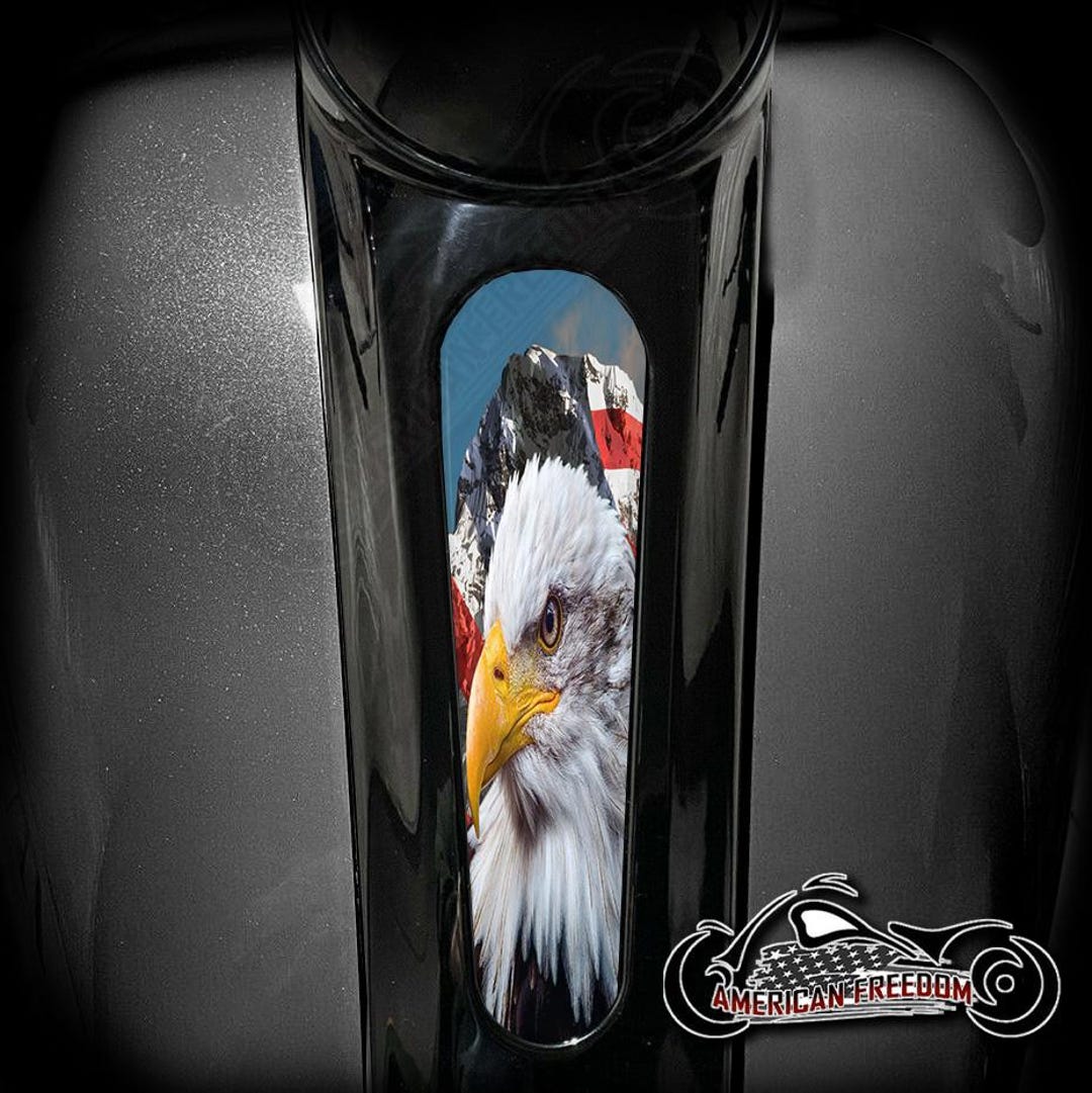 Harley Davidson Custom Made 8 Inch Dash Insert (2008-2025) for Street ...