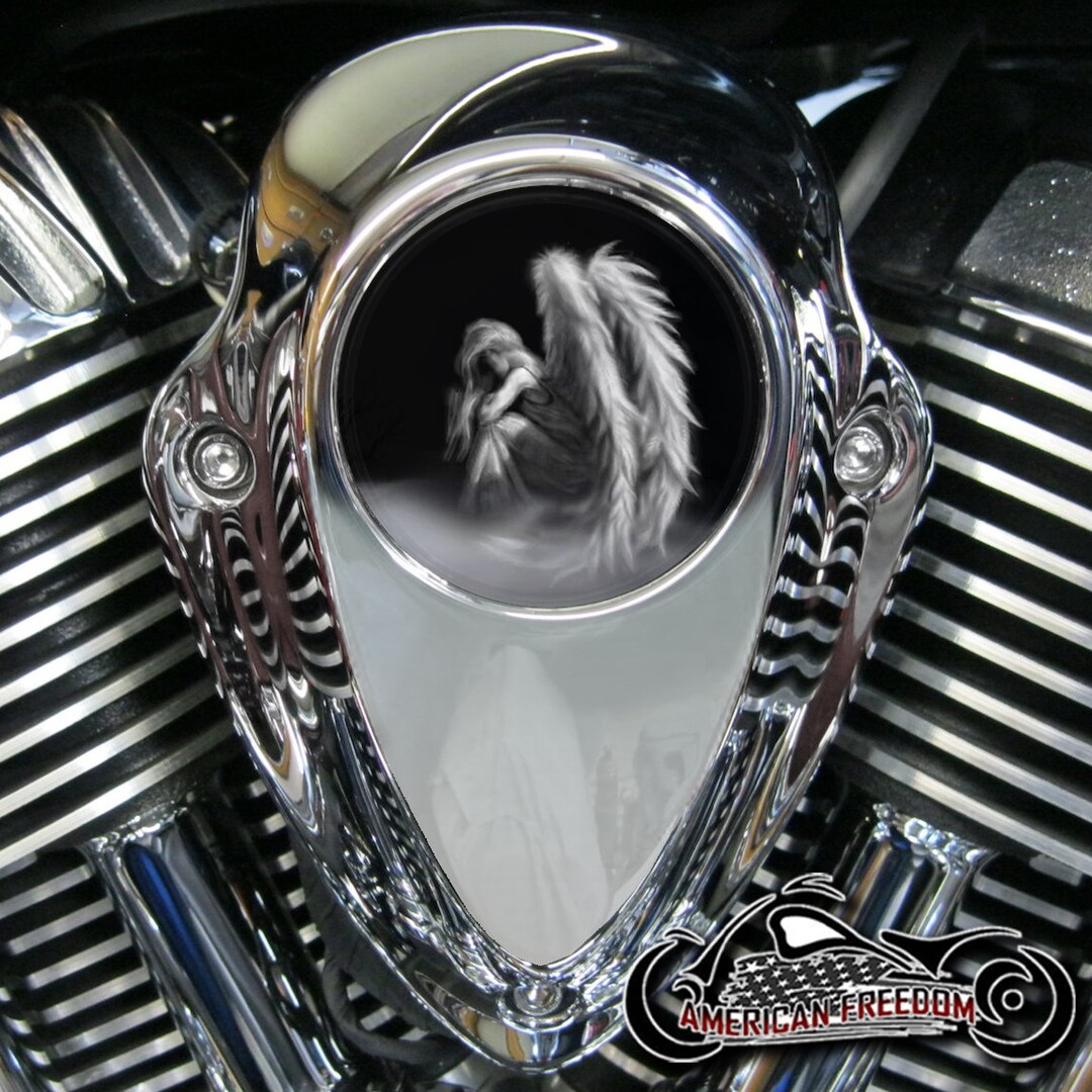 Indian Motorcycles Thunder Stroke Horn Coil Insert - Faded Angel - Etsy