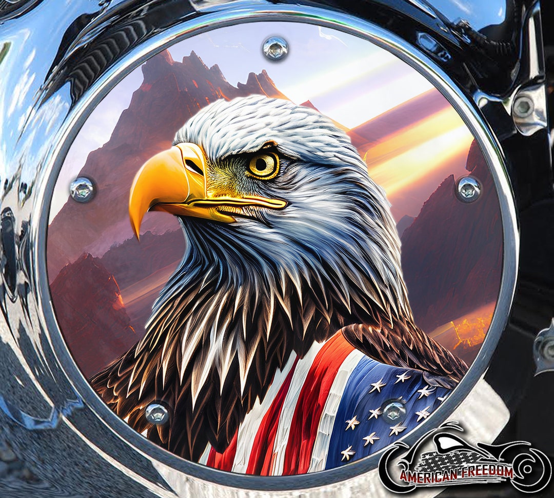 Harley Davidson Custom Made Derby Cover or Timing Cover (your Choice ...