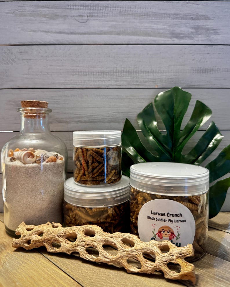 Larvae Crunch – Black Soldier Fly Larvae for Hermit Crabs - Etsy