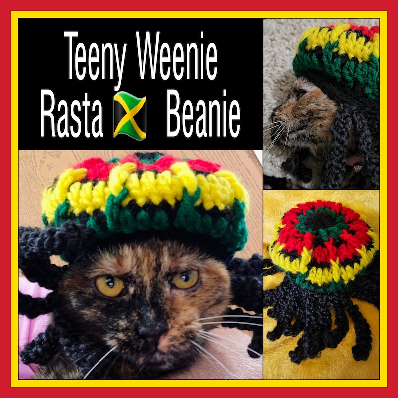 Rasta Beanie - Etsy