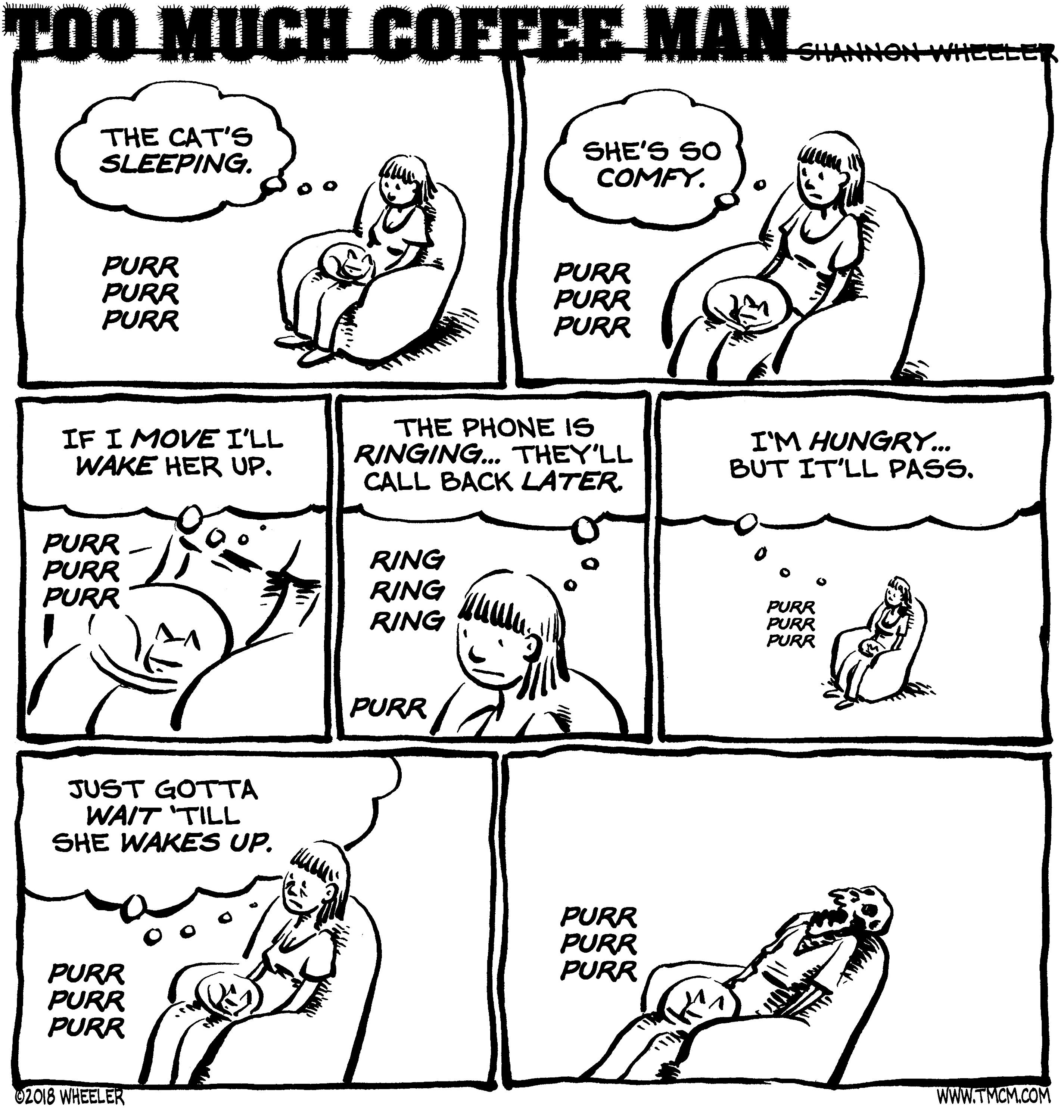 Art of Too Much Coffee Man Sleeping Cat 2018 ART - Etsy