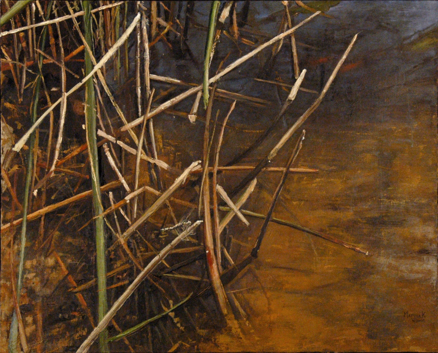 Oil Painting " Reeds and Dragon Fly" Original Oil on Canvas ...