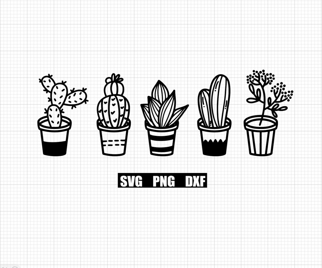 Succulent SVG PNG DXF Cut File | Cactus | Digital Download | T-shirt - Etsy