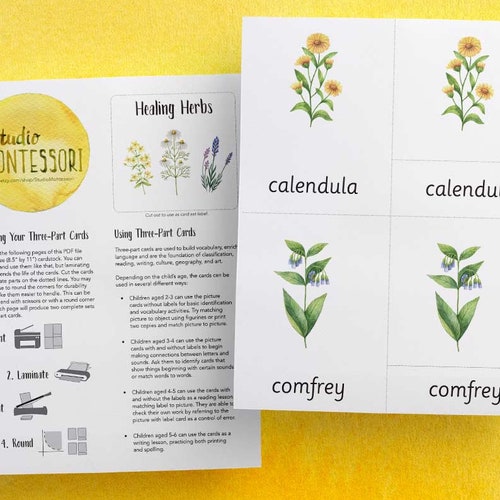 3-part Cards: Cooking Herbs printable PDF - Etsy