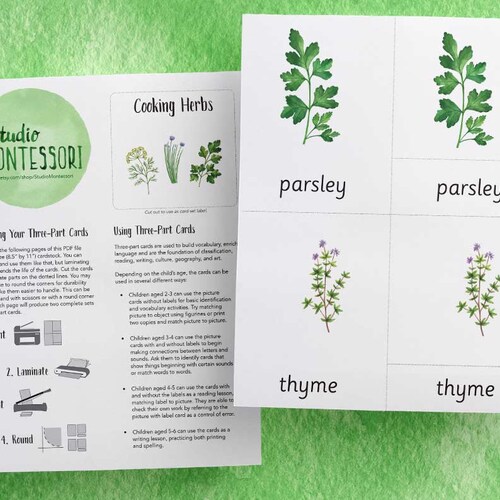 3-part Cards: Cooking Herbs printable PDF - Etsy