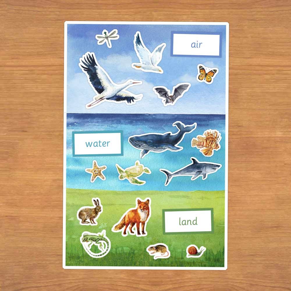 Air, Water, and Land Learning Mat (printable PDF Kit) - Etsy
