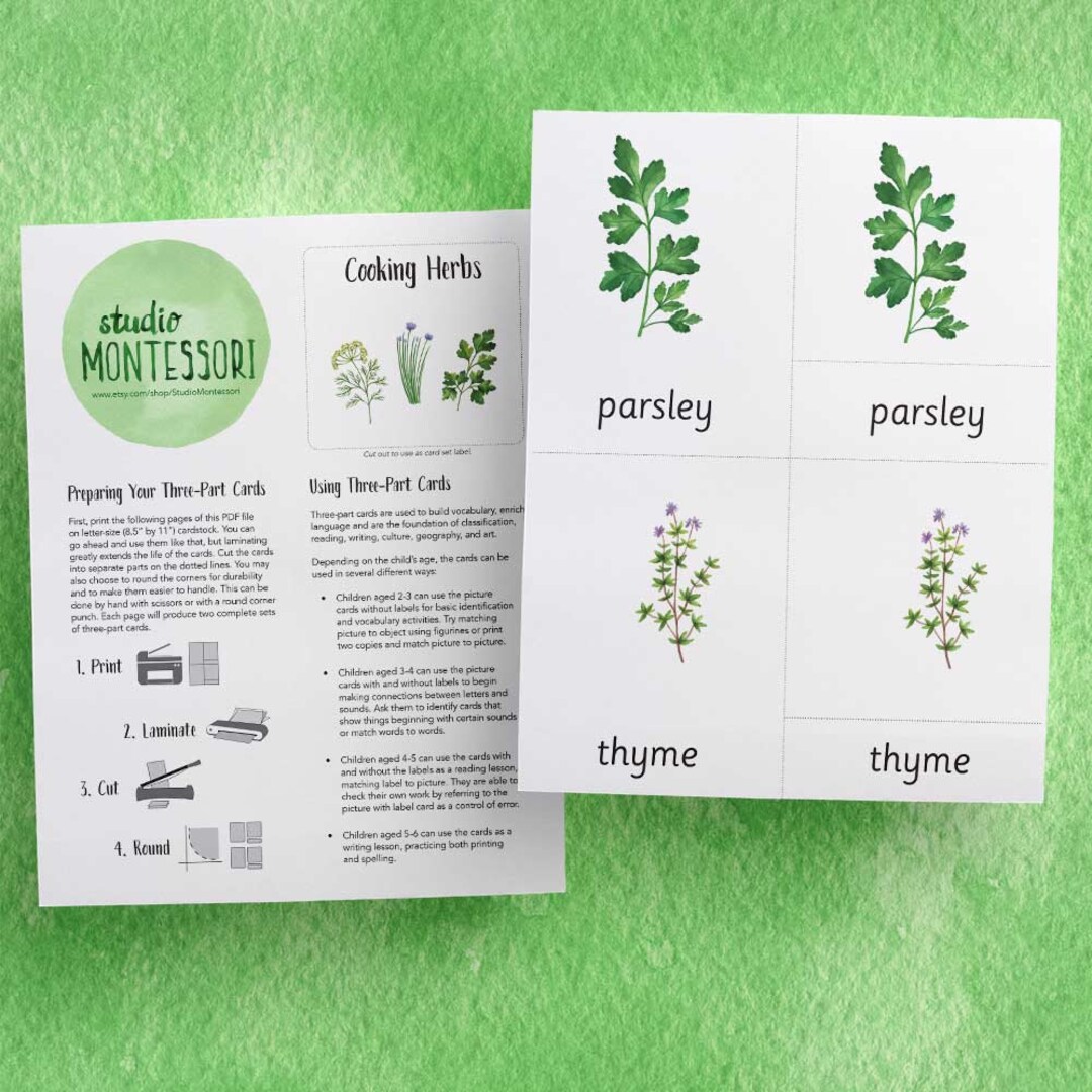 3-part Cards: Cooking Herbs (printable PDF) - Etsy