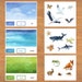 Air, Water, and Land Learning Mat (printable PDF Kit) - Etsy