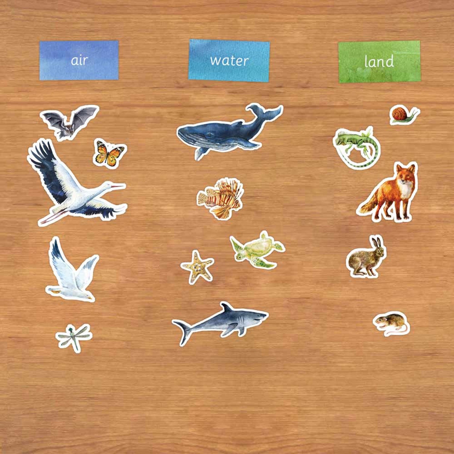 Air, Water, and Land Learning Mat (printable PDF Kit) - Etsy